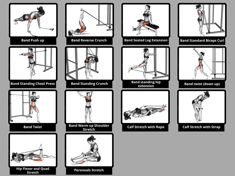 Fitness Workout Animation 3D, Band Exercise, Fitness for Women ...