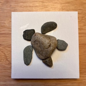 Turtle • Rock Decor - Etsy
