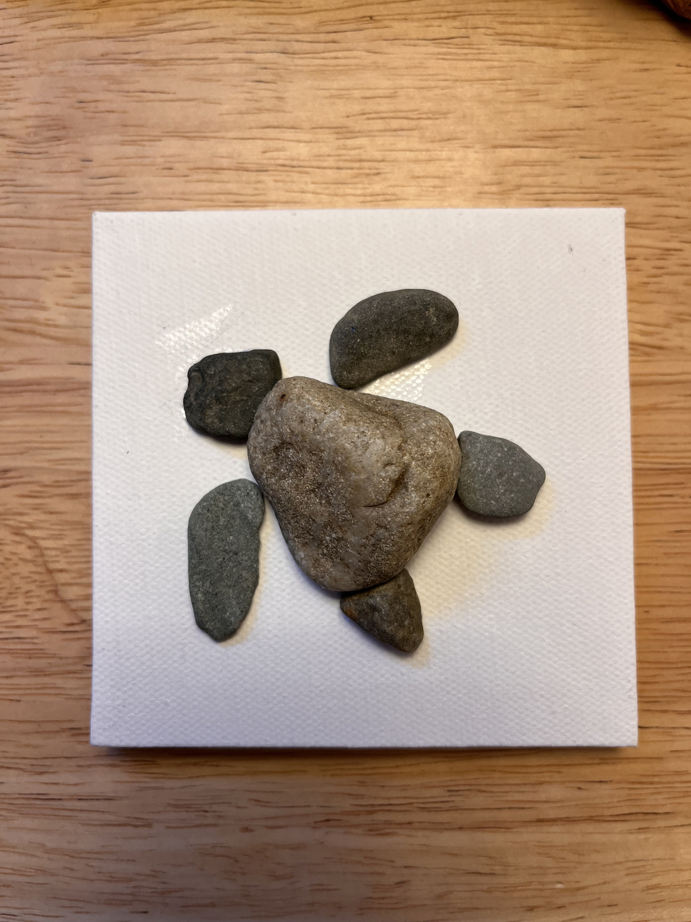 Turtle • Rock Decor - Etsy
