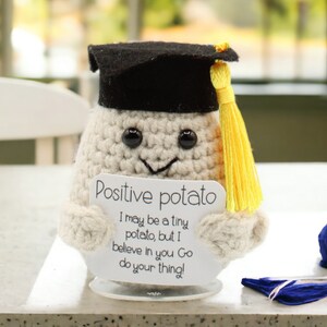 Graduation Positive Pickle and Potato. Handmade Toy, Emotional Support ...