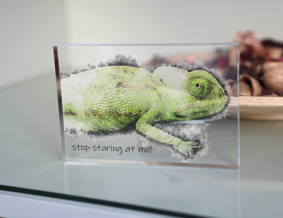 Custom Chameleon Portrait Acrylic Block, Custom Watercolour Reptile Art ...