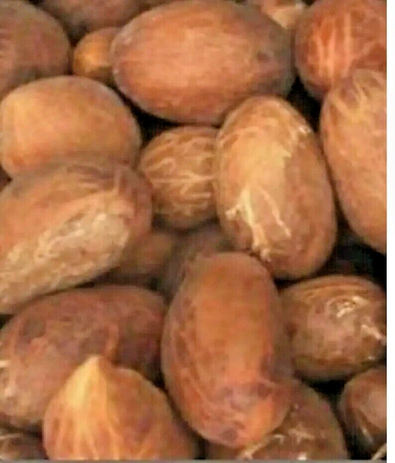 African Bitter Kola Nut Garcinia Kola Orogbo 250g Natural Immune ...