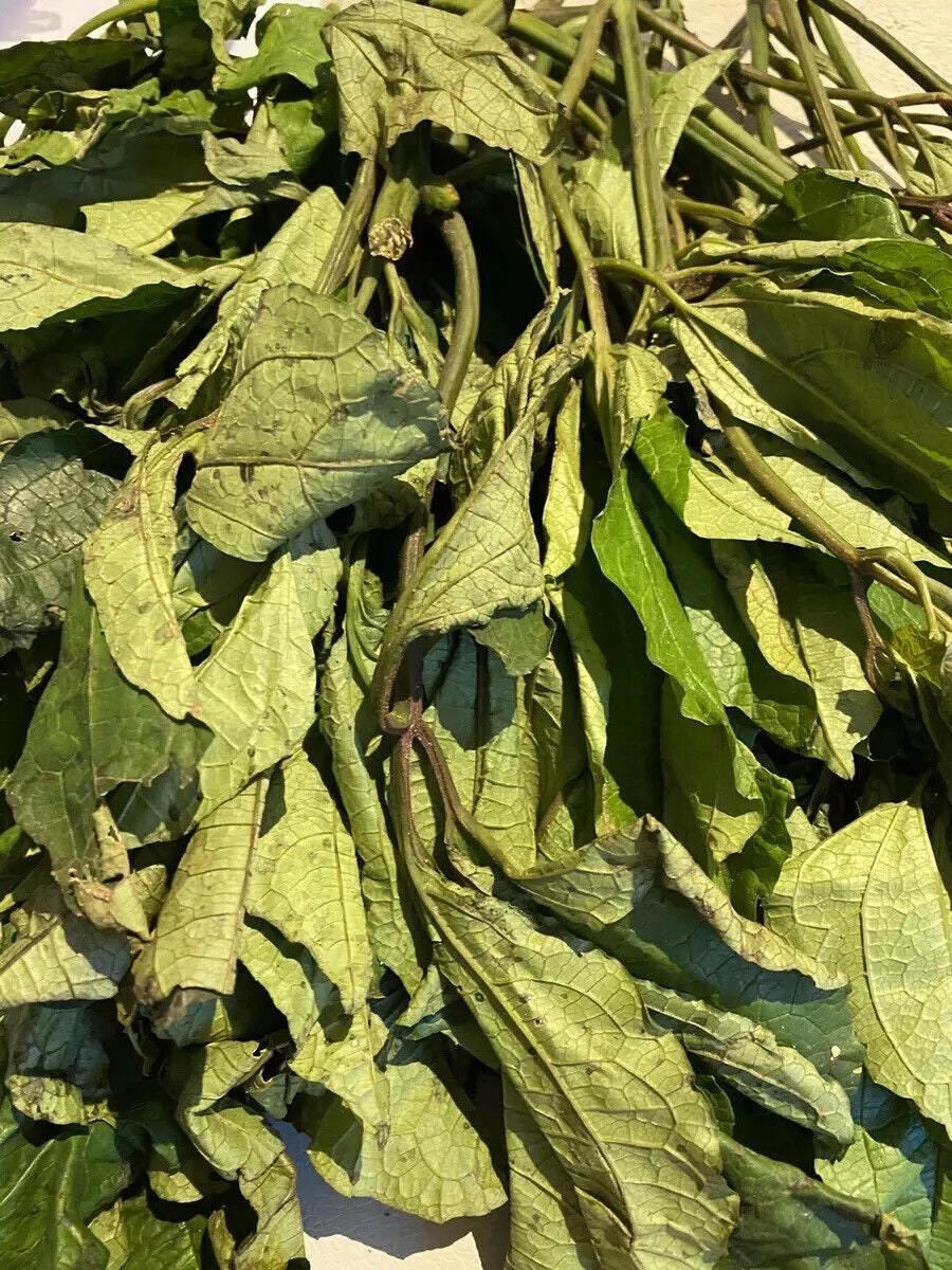 Dry Ugu Leaves - Etsy UK