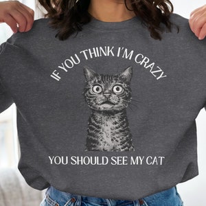 Funny Cat T Shirt, Crazy Cat Lady Shirt, Cat Lovers Gift, Pet Lover Tee ...