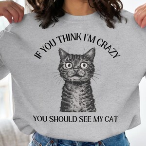 Funny Cat T Shirt, Crazy Cat Lady Shirt, Cat Lovers Gift, Pet Lover Tee ...