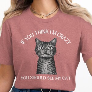 Funny Cat T Shirt, Crazy Cat Lady Shirt, Cat Lovers Gift, Pet Lover Tee ...
