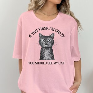Funny Cat T Shirt, Crazy Cat Lady Shirt, Cat Lovers Gift, Pet Lover Tee ...