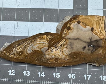 Beautiful Blue Biggs Jasper Polished Specimen Pair. One Slab One Faced ...