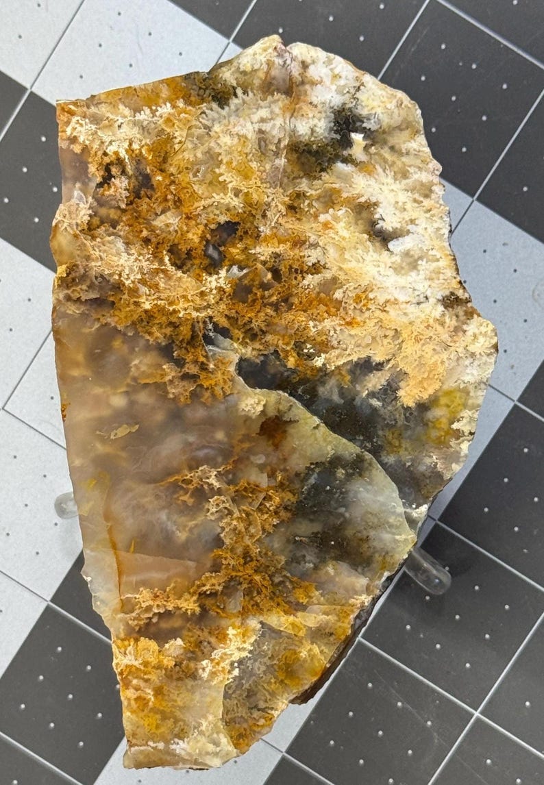 Plume Agate Polished Display Specimen - Etsy