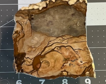 Biggs Jasper Slab - Etsy