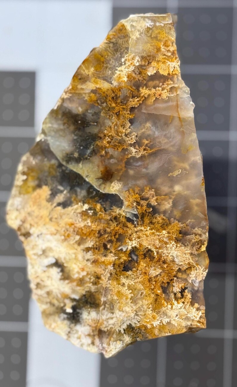Plume Agate Polished Display Specimen - Etsy