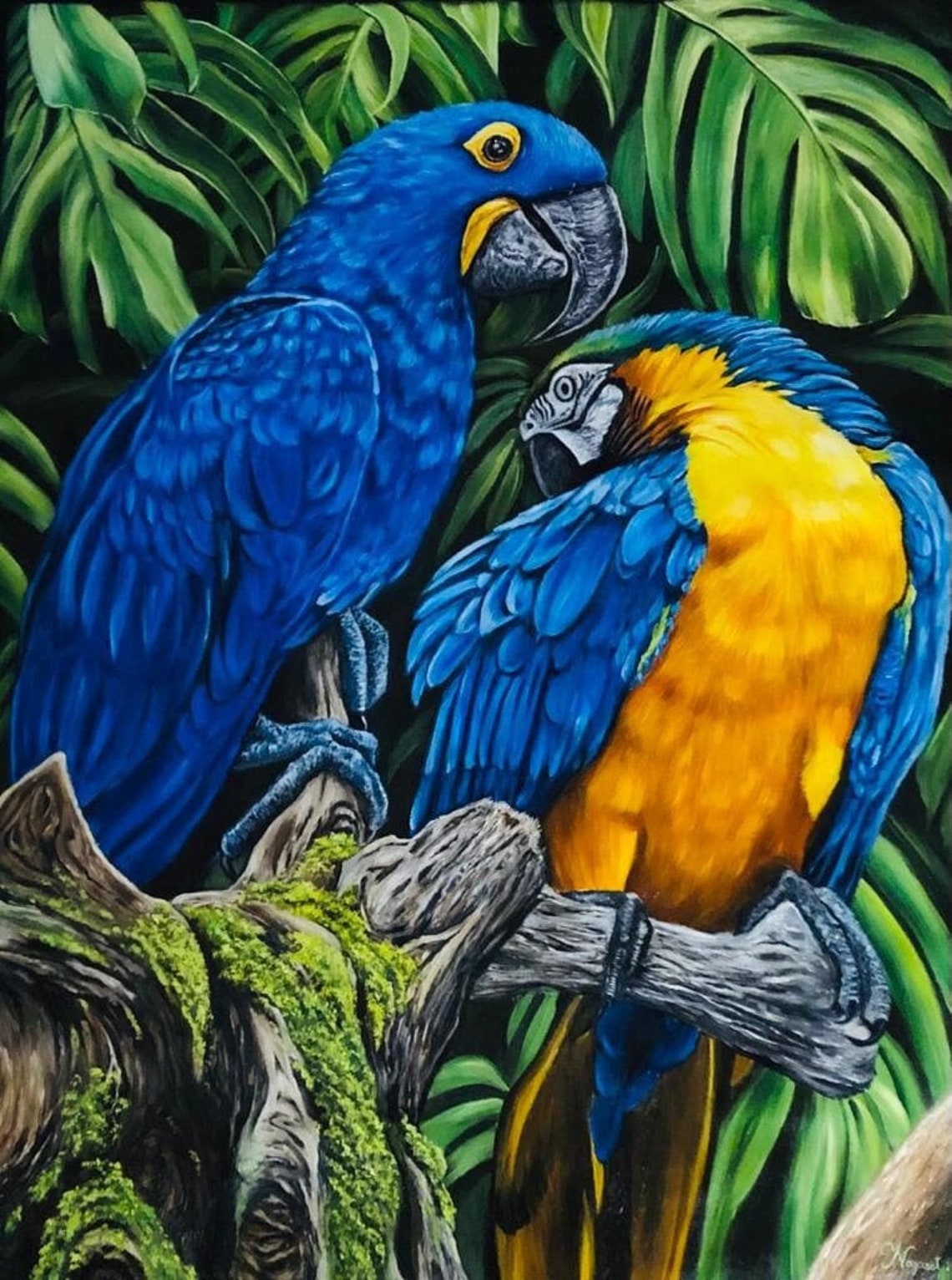 Brazilian Fauna Araras, Original Oil Painting, Art Work, Realism, Oil ...