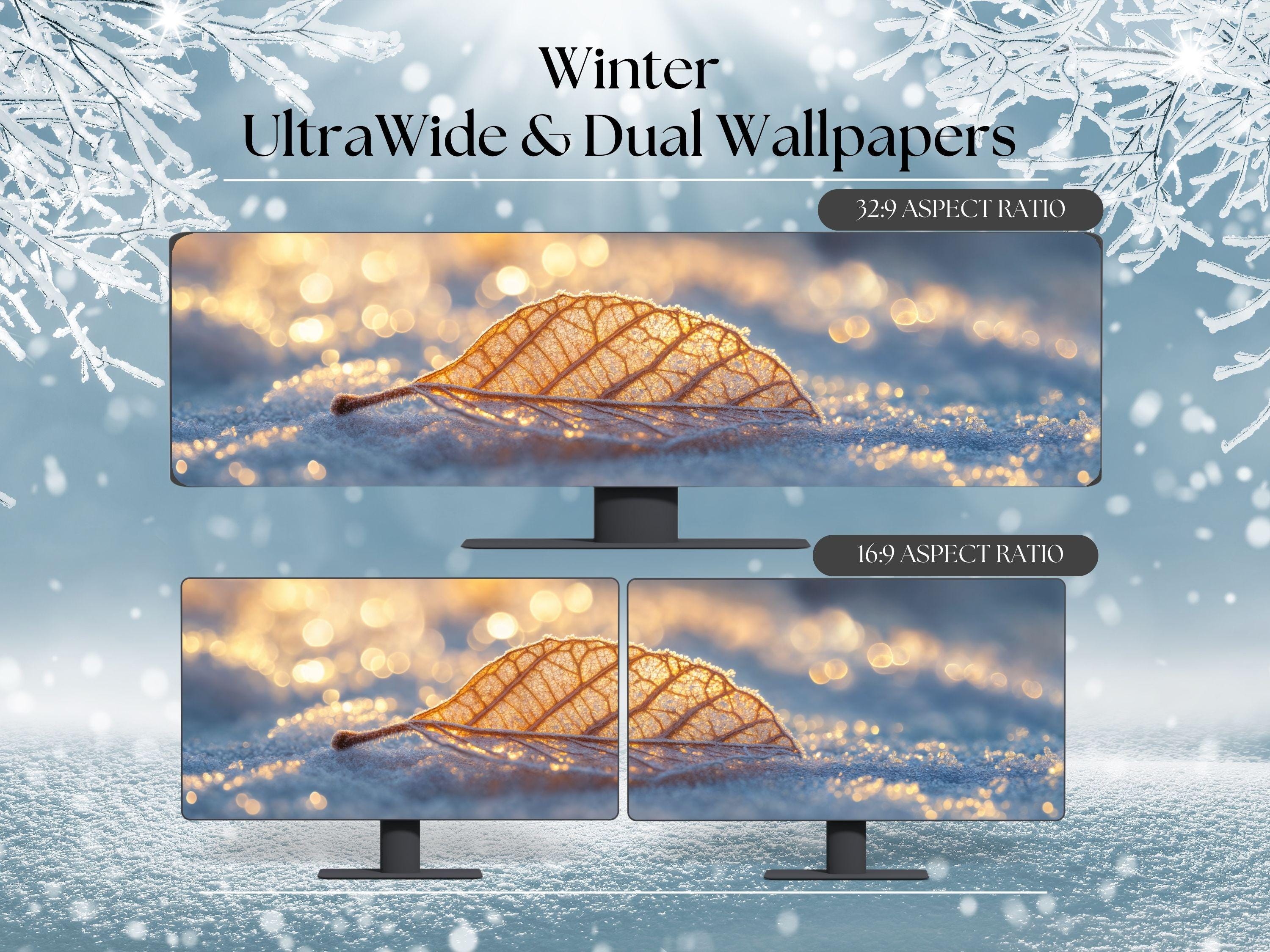Winter Leaf Wallpaper for Ultrawide and Dual Monitors | 32x9 and 16x9 ...