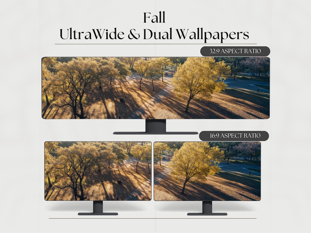 Autumn Trees Wallpaper for Ultrawide and Dual Monitors | 32x9 and 16x9 ...