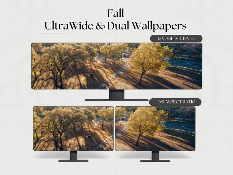 Autumn Trees Wallpaper for Ultrawide and Dual Monitors | 32x9 and 16x9 ...