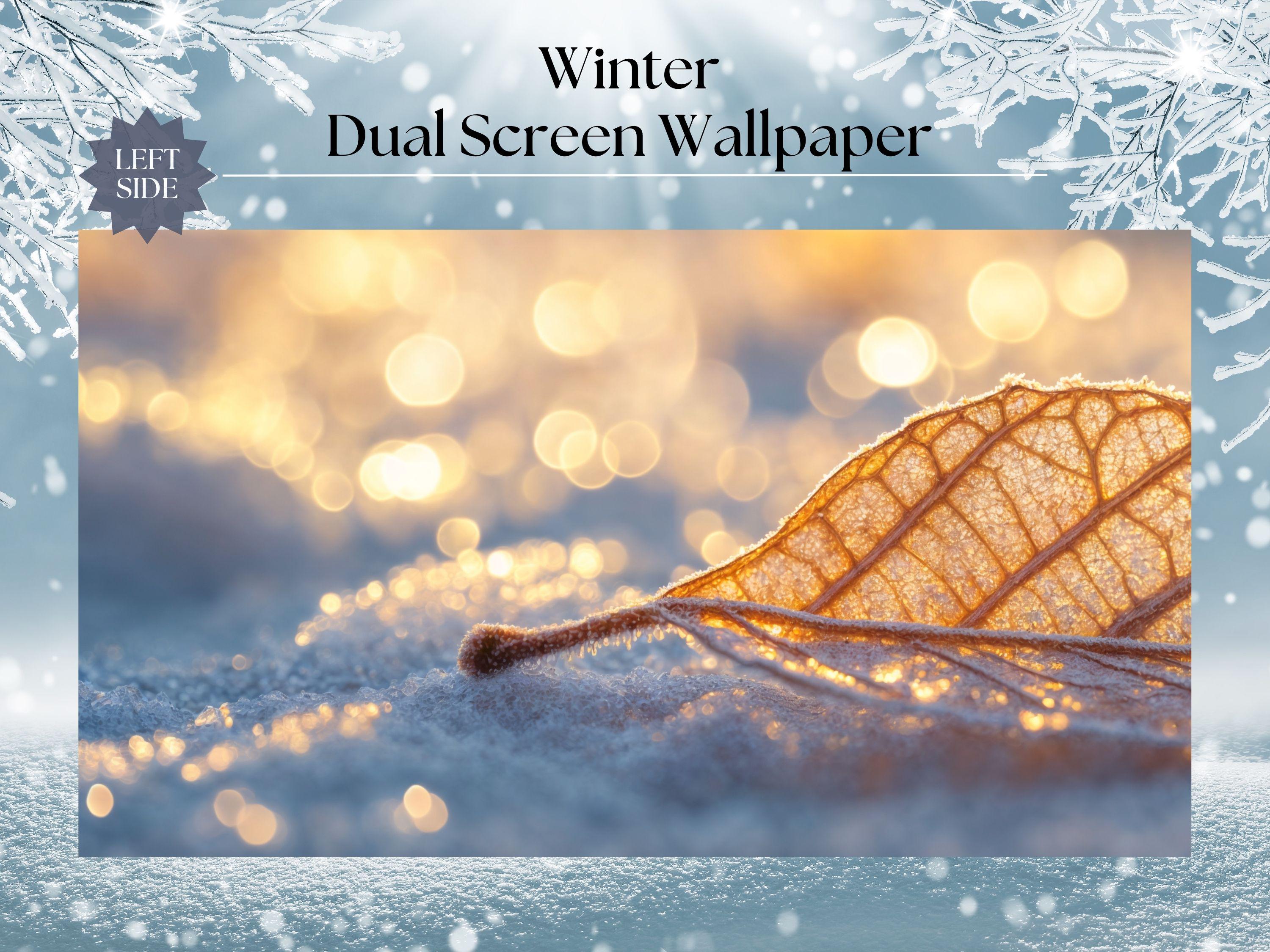 Winter Leaf Wallpaper for Ultrawide and Dual Monitors | 32x9 and 16x9 ...