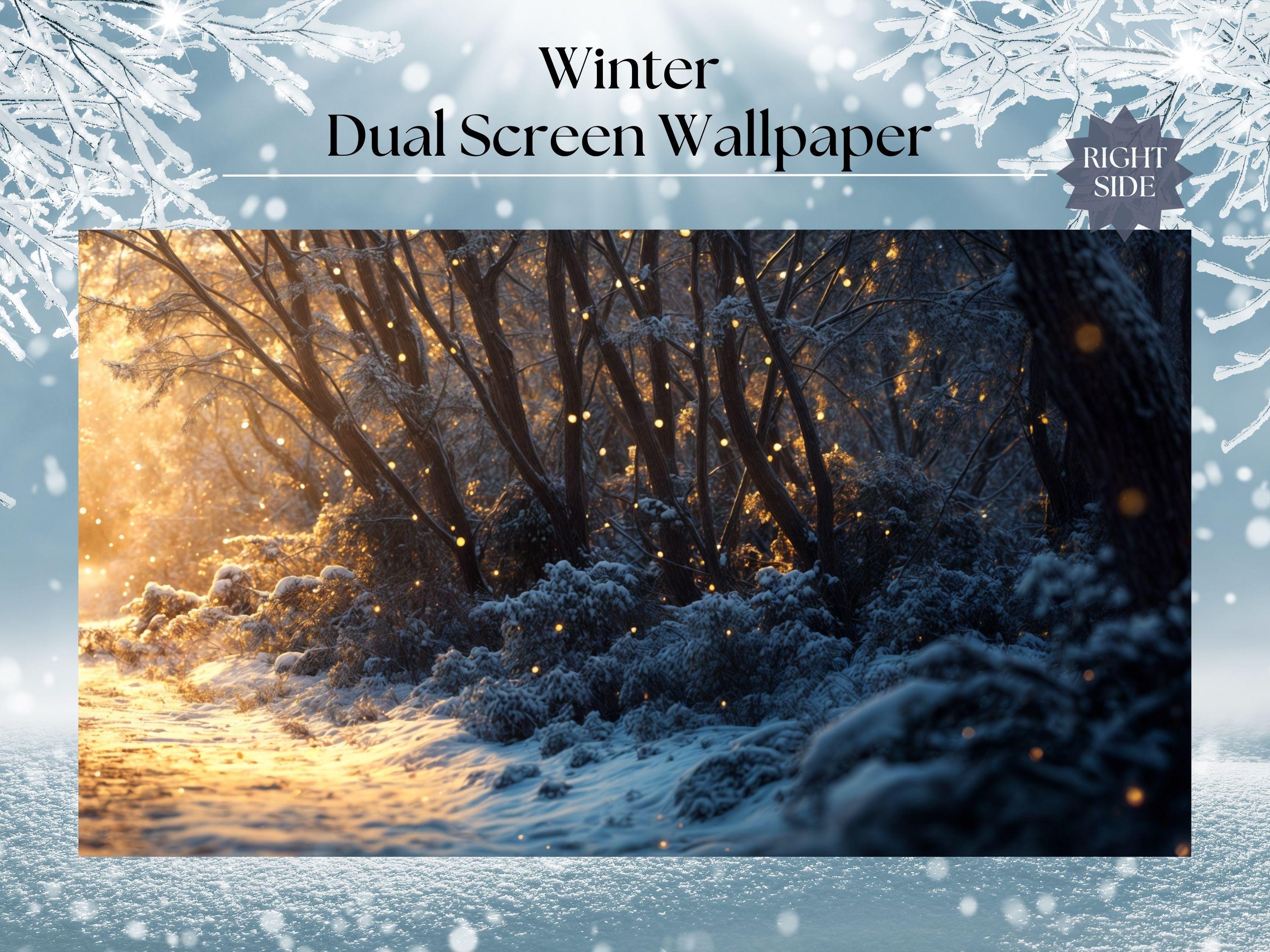 Winter Trail Wallpaper for Ultrawide and Dual Monitors High-resolution ...