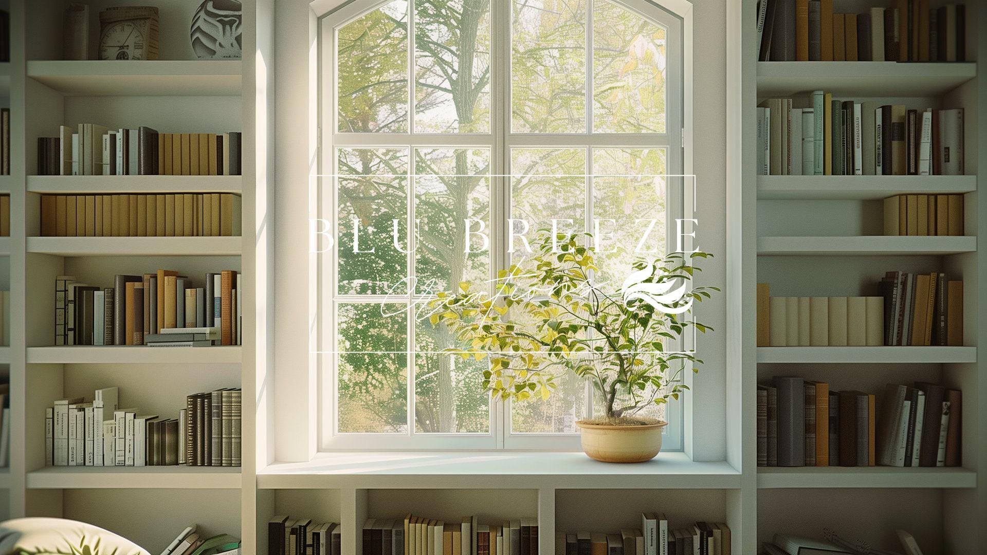Virtual Bookshelf Background | Calm Setting | Zoom, Teams, Skype ...