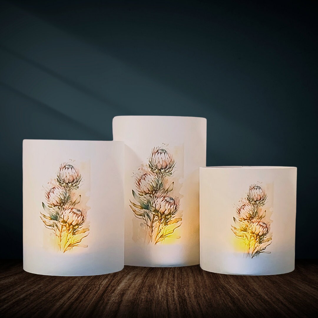 Protea Luminaries for Flameless Candles, Set of 3 Vellum Shades (part ...