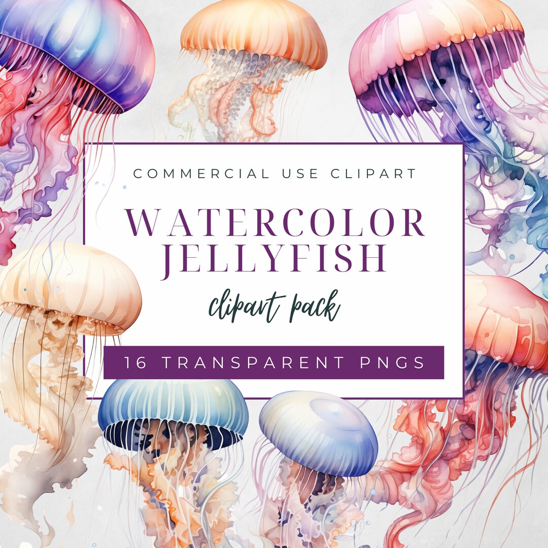 Watercolor Jellyfish Clipart Pack, Commercial Use Clipart, Transparent ...