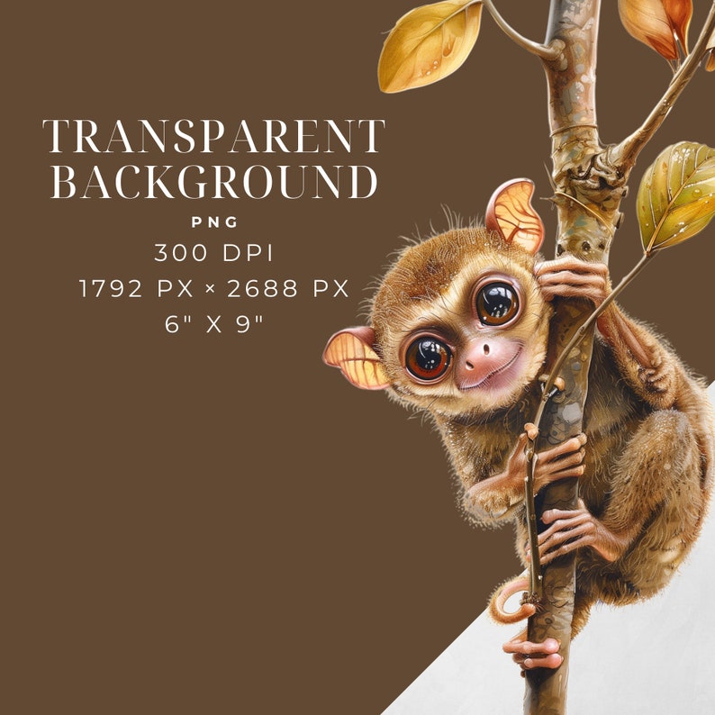 Philippine Tarsier Monkey Clipart, Commercial Use Clipart, Transparent ...