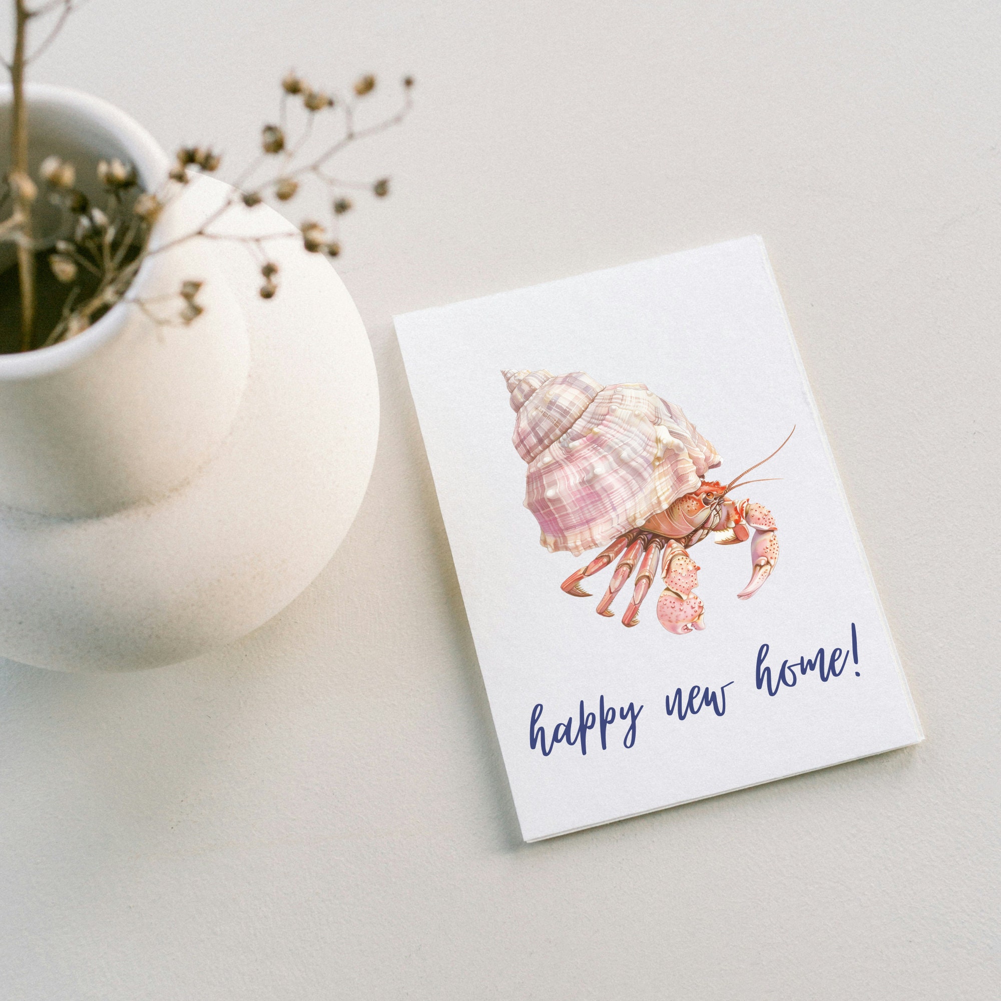 Hermit Crab Clipart Pack, Commercial Use Clipart, Transparent Pngs ...