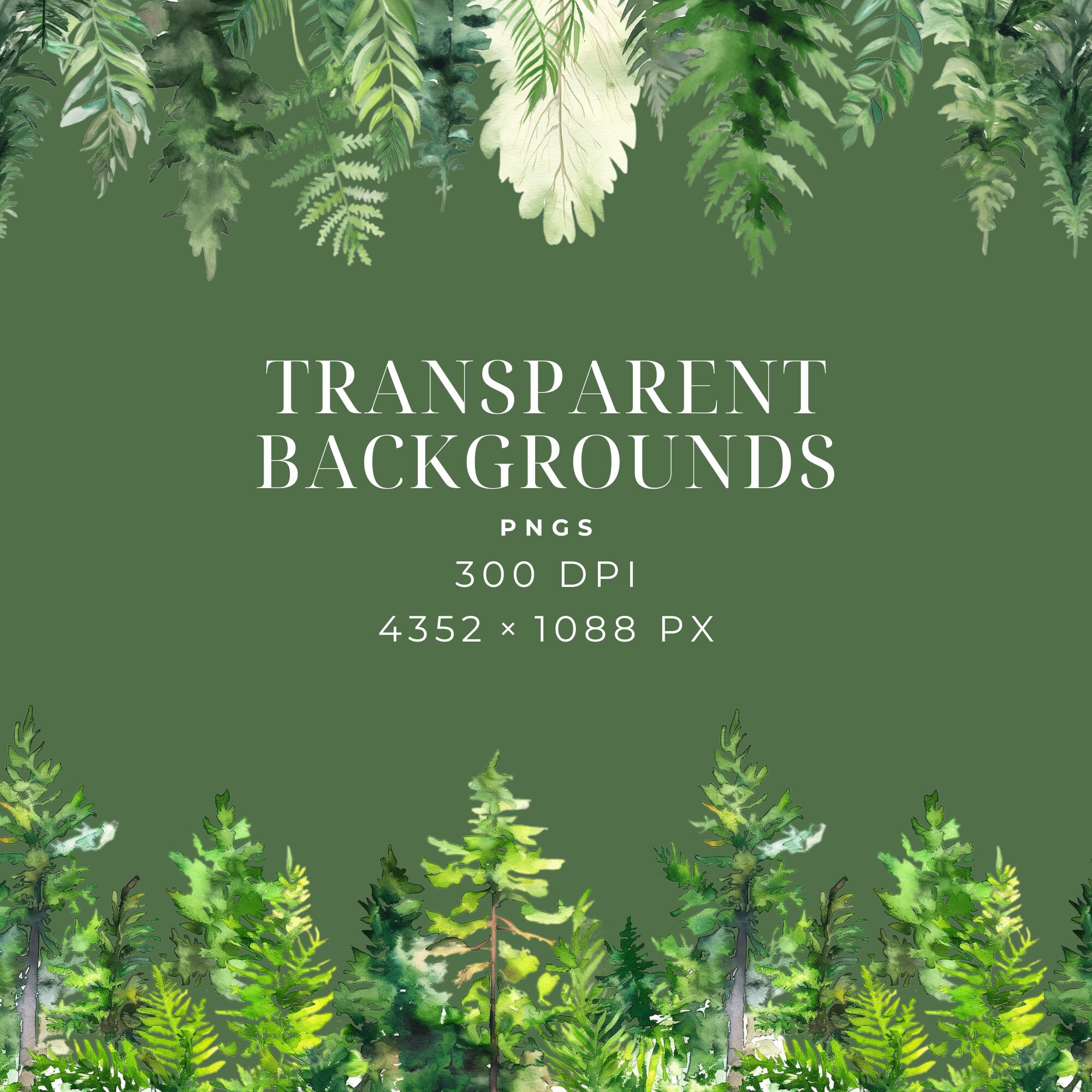 Forest Borders Clipart, Clipart for Commercial Use, Transparent Pngs ...