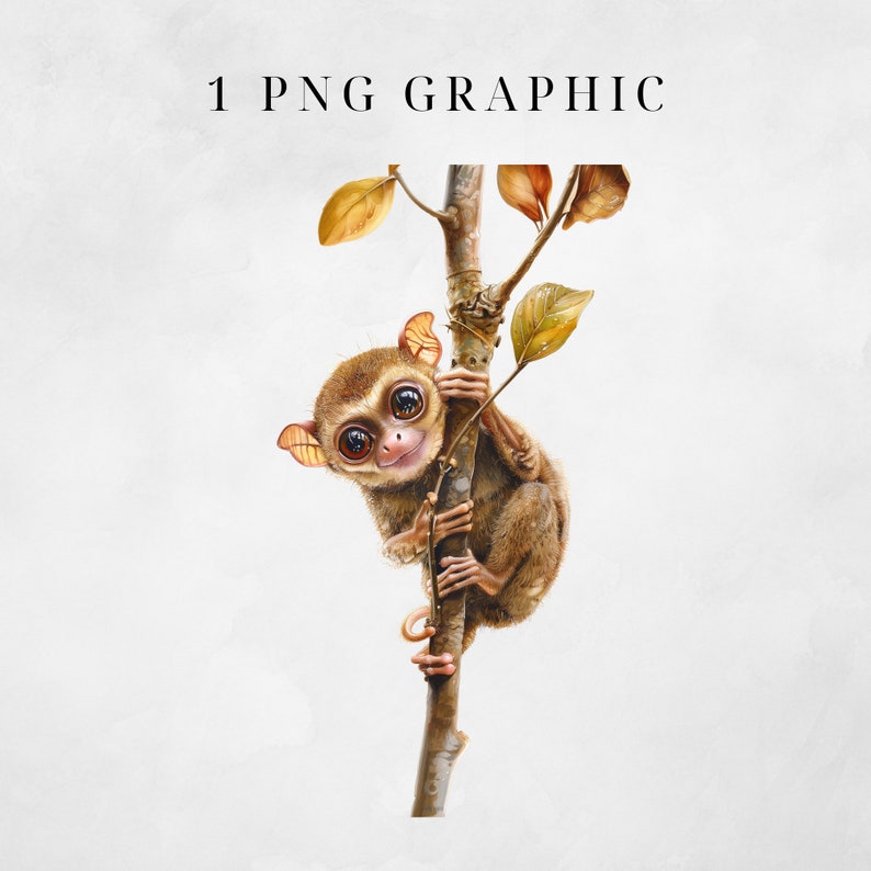 Philippine Tarsier Monkey Clipart, Commercial Use Clipart, Transparent ...