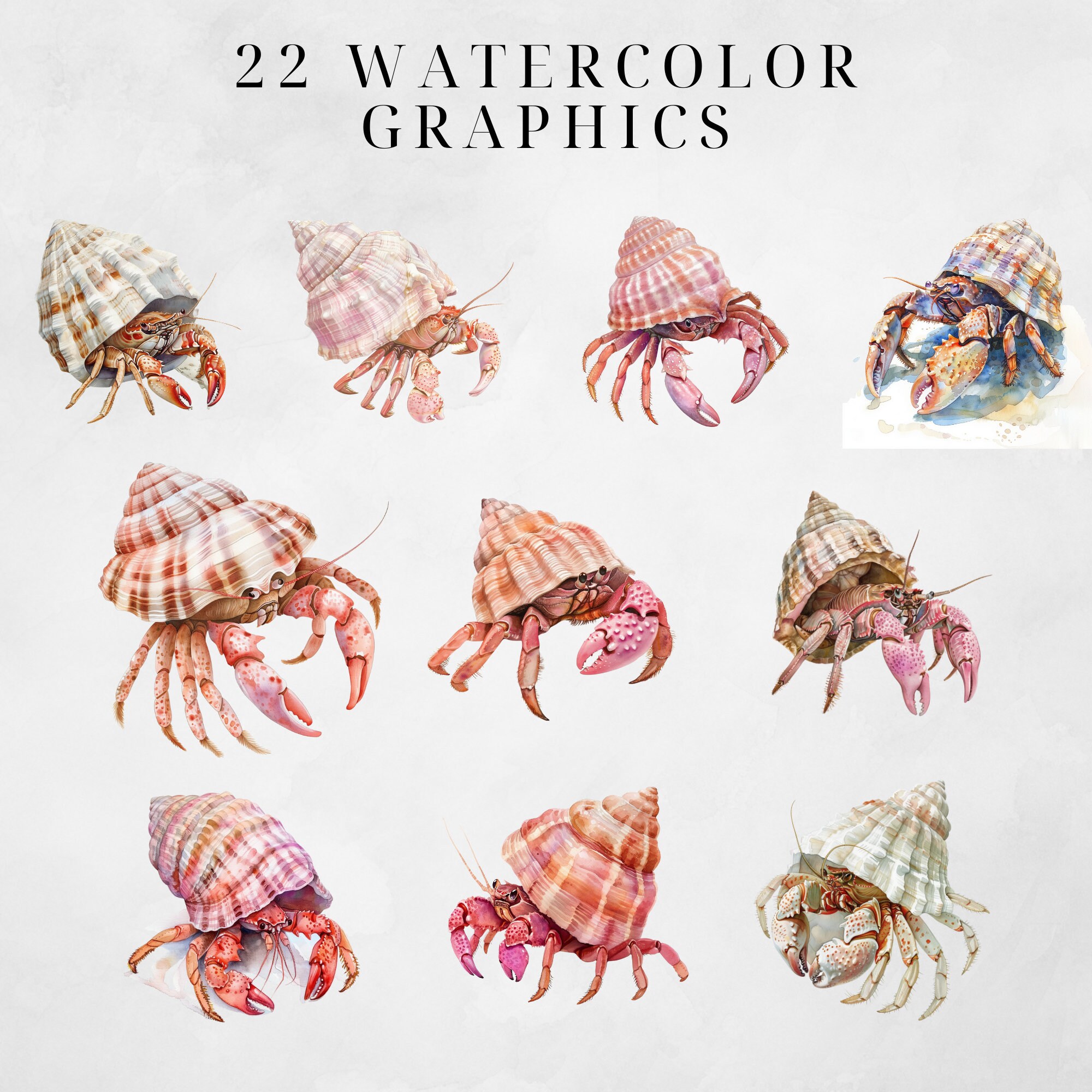 Hermit Crab Clipart Pack, Commercial Use Clipart, Transparent Pngs ...
