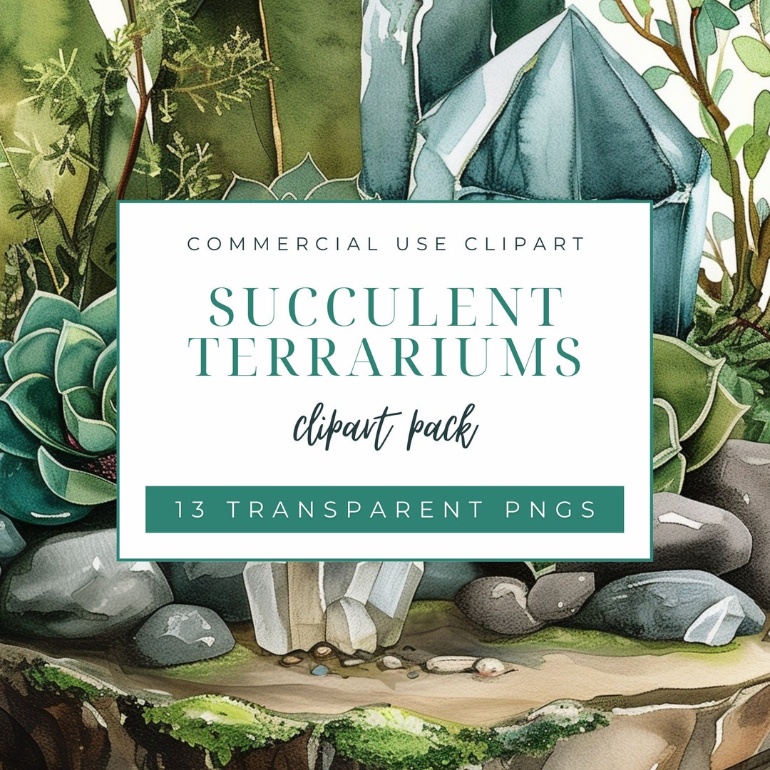 Succulent Terrarium Clipart Pack, Commercial Use Clipart, Transparent ...