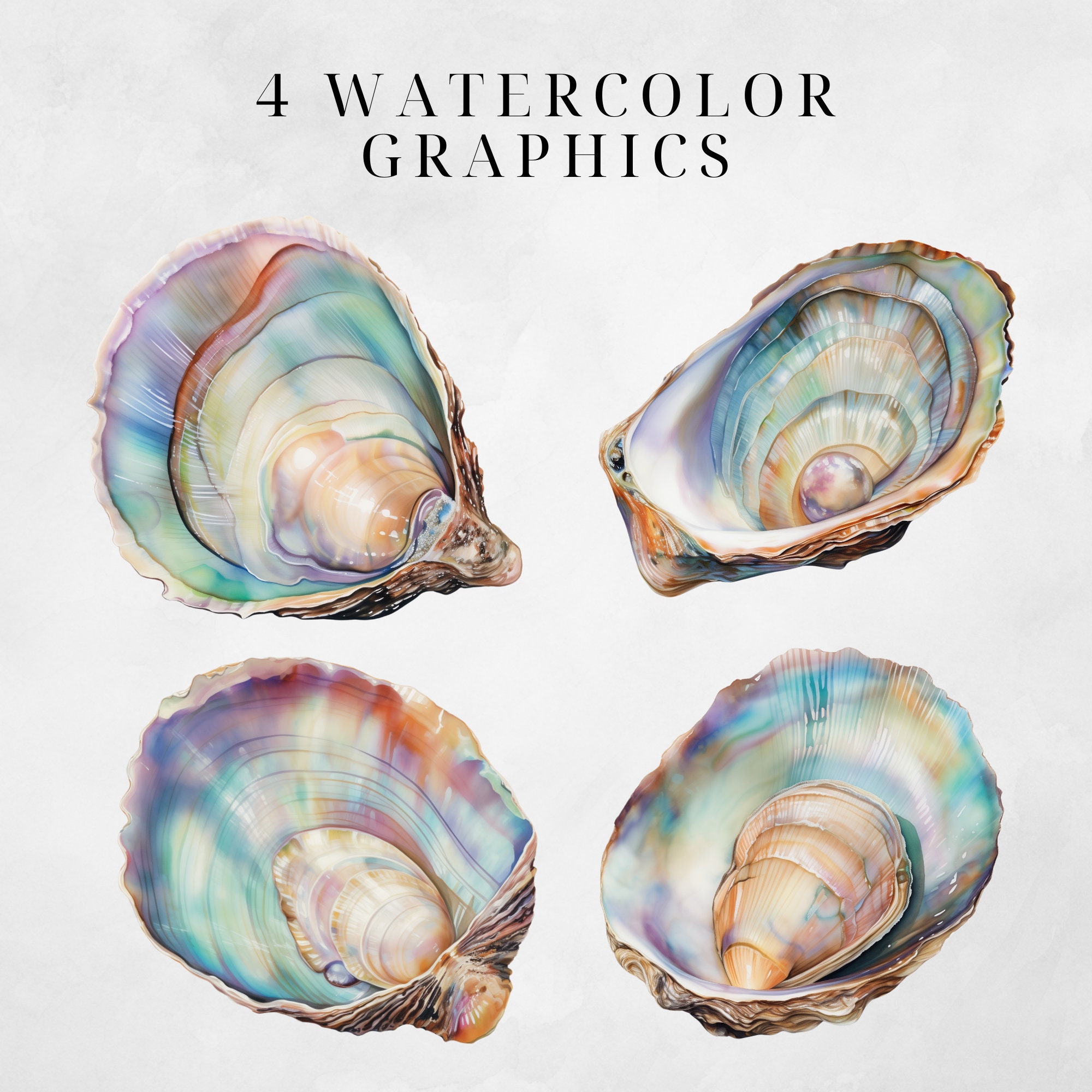 Oyster Shells Clipart Pack, Commercial Use Clipart, Transparent Pngs ...