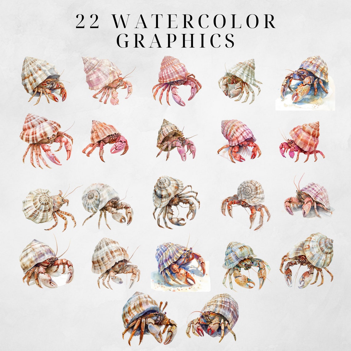 Hermit Crab Clipart Pack, Commercial Use Clipart, Transparent Pngs ...