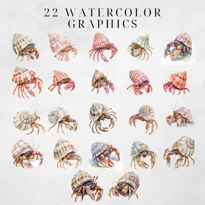 Hermit Crab Clipart Pack, Commercial Use Clipart, Transparent Pngs ...