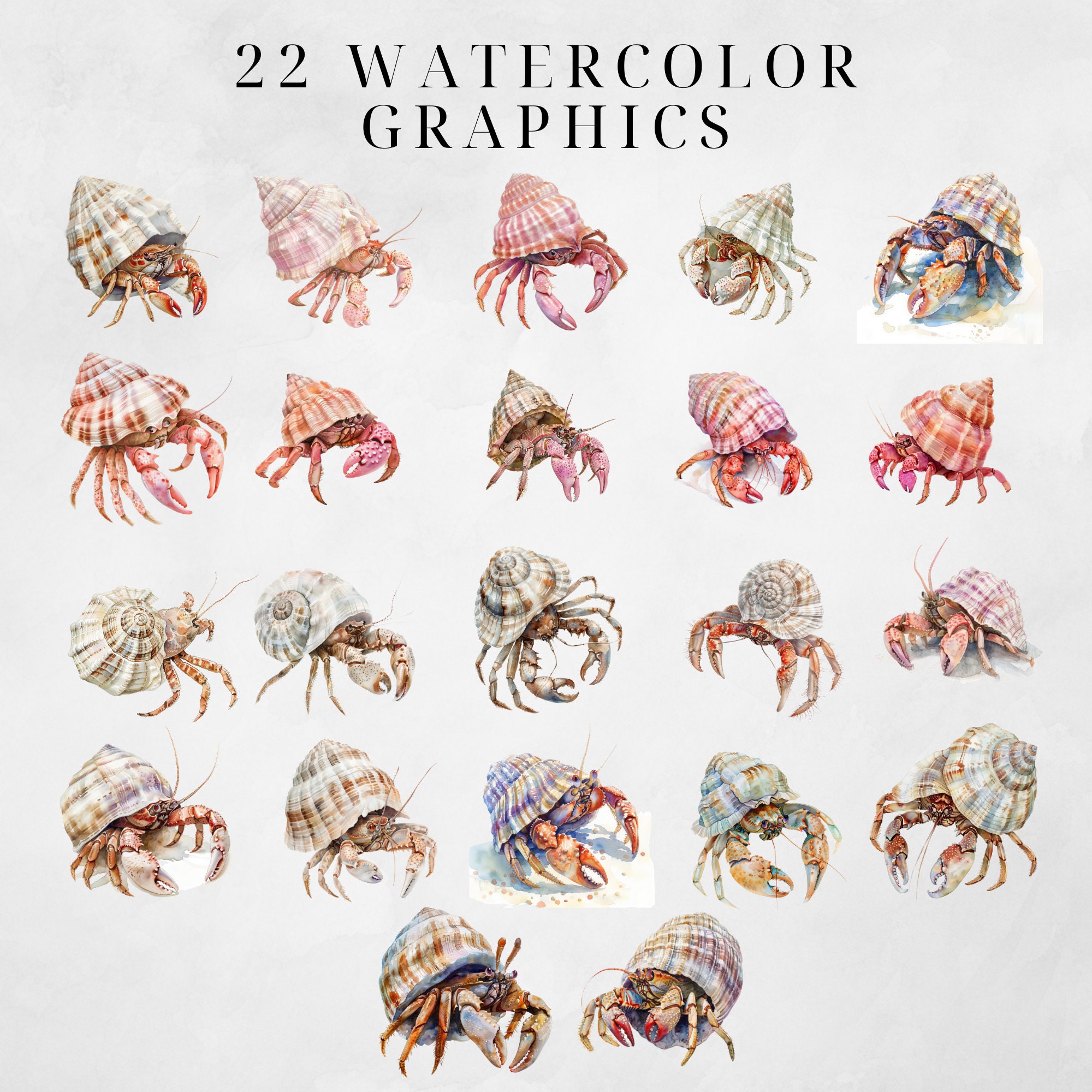 Hermit Crab Clipart Pack, Commercial Use Clipart, Transparent Pngs ...