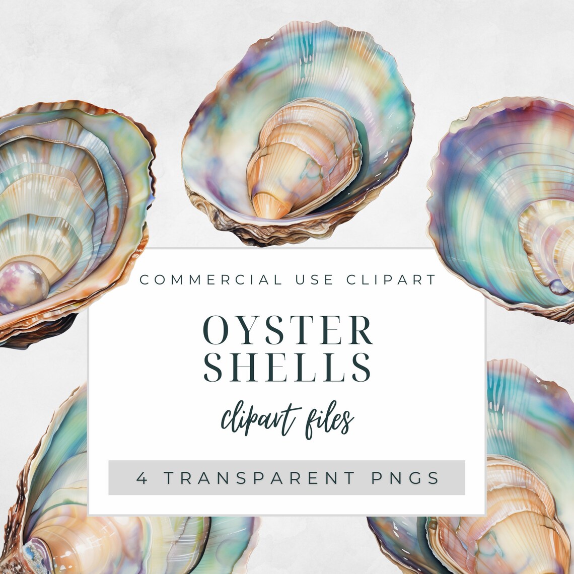 Oyster Shells Clipart Pack, Commercial Use Clipart, Transparent Pngs ...