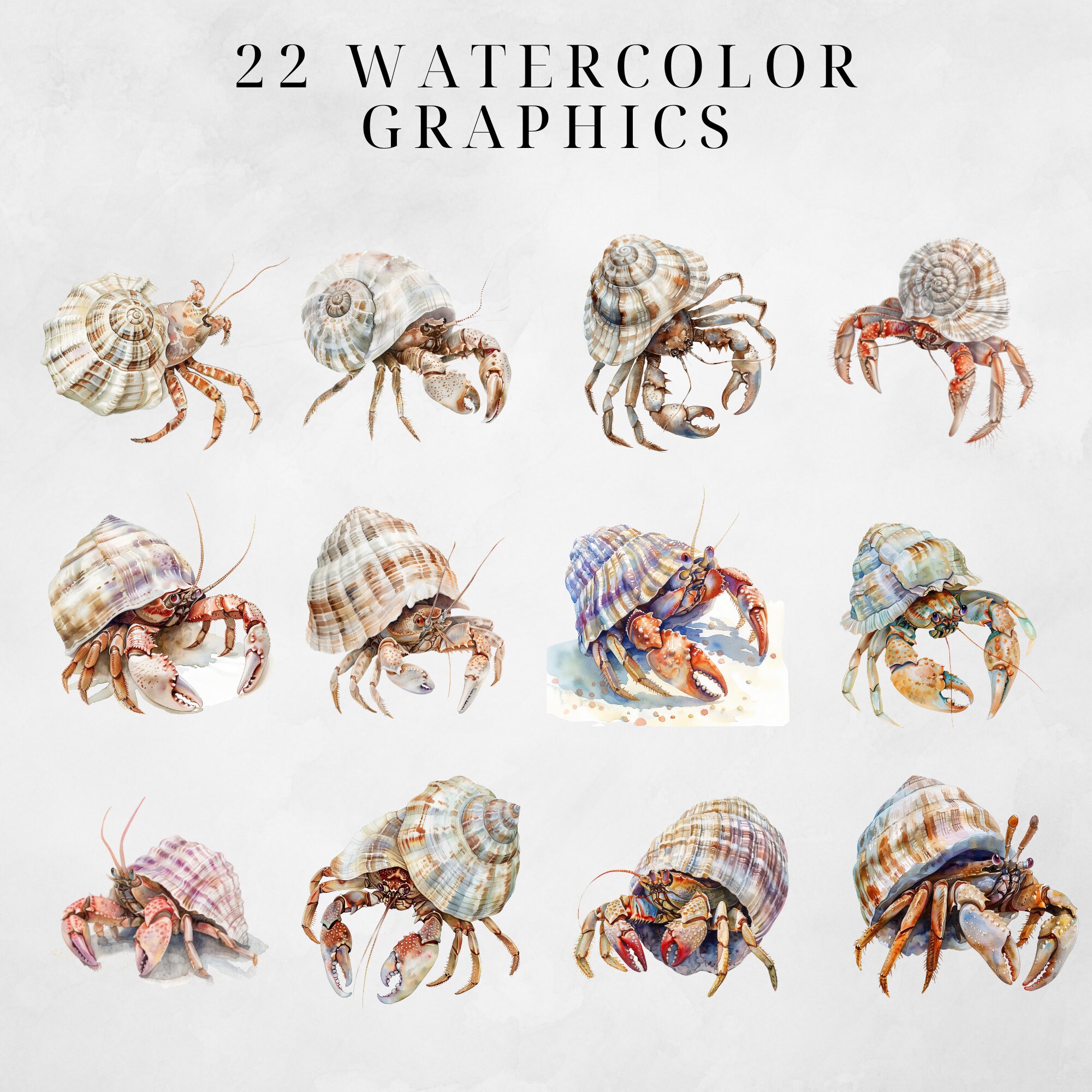 Hermit Crab Clipart Pack, Commercial Use Clipart, Transparent Pngs ...