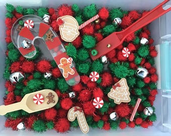 Christmas Magic Sensory Bin: Winter Preschool Learning Game - Etsy