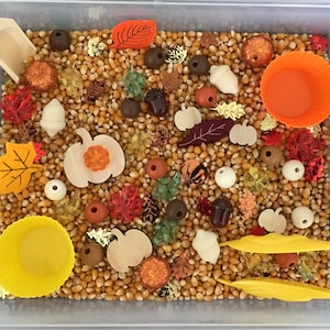 Fall/thanksgiving Sensory Bin - Etsy