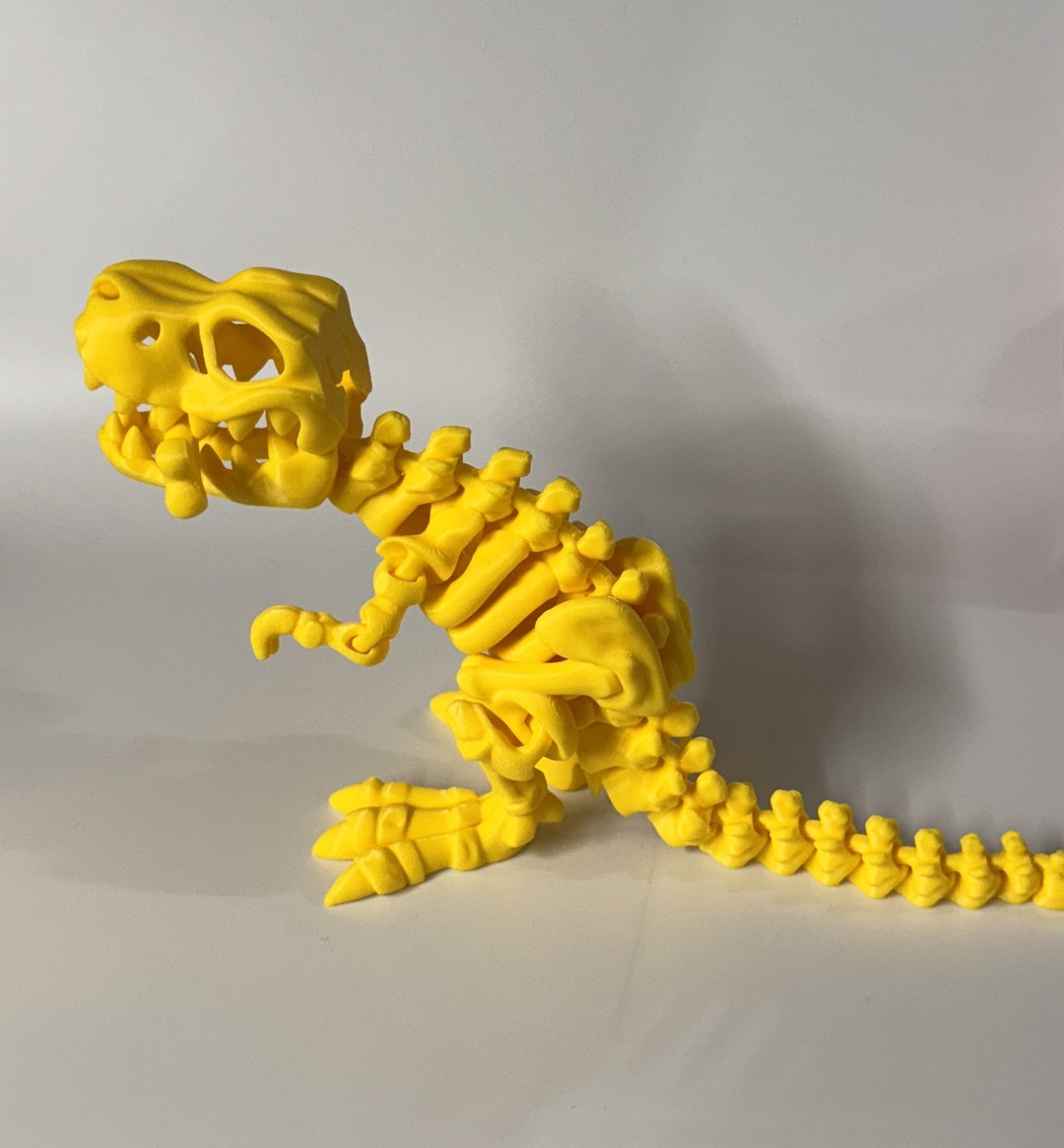 Articulated Skeleton T-rex With Bone Fidget Toy - Etsy