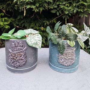 Decorated Flower Pot Ready to Ship, Cat Planter, Succulent Pot, Floral ...