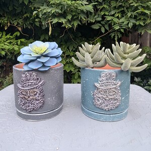 Decorated Flower Pot Ready to Ship, Cat Planter, Succulent Pot, Floral ...