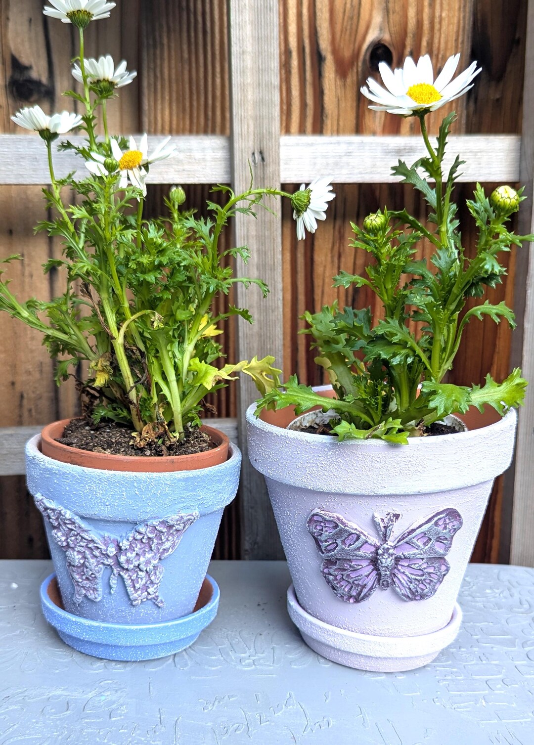 Decorated Flower Pot Ready to Ship, Succulent Pot, Floral Planter ...
