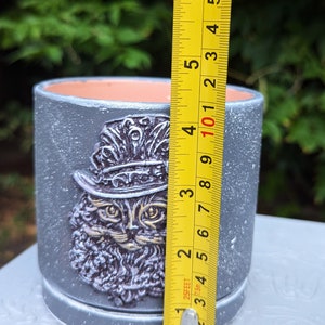 Decorated Flower Pot Ready to Ship, Cat Planter, Succulent Pot, Floral ...