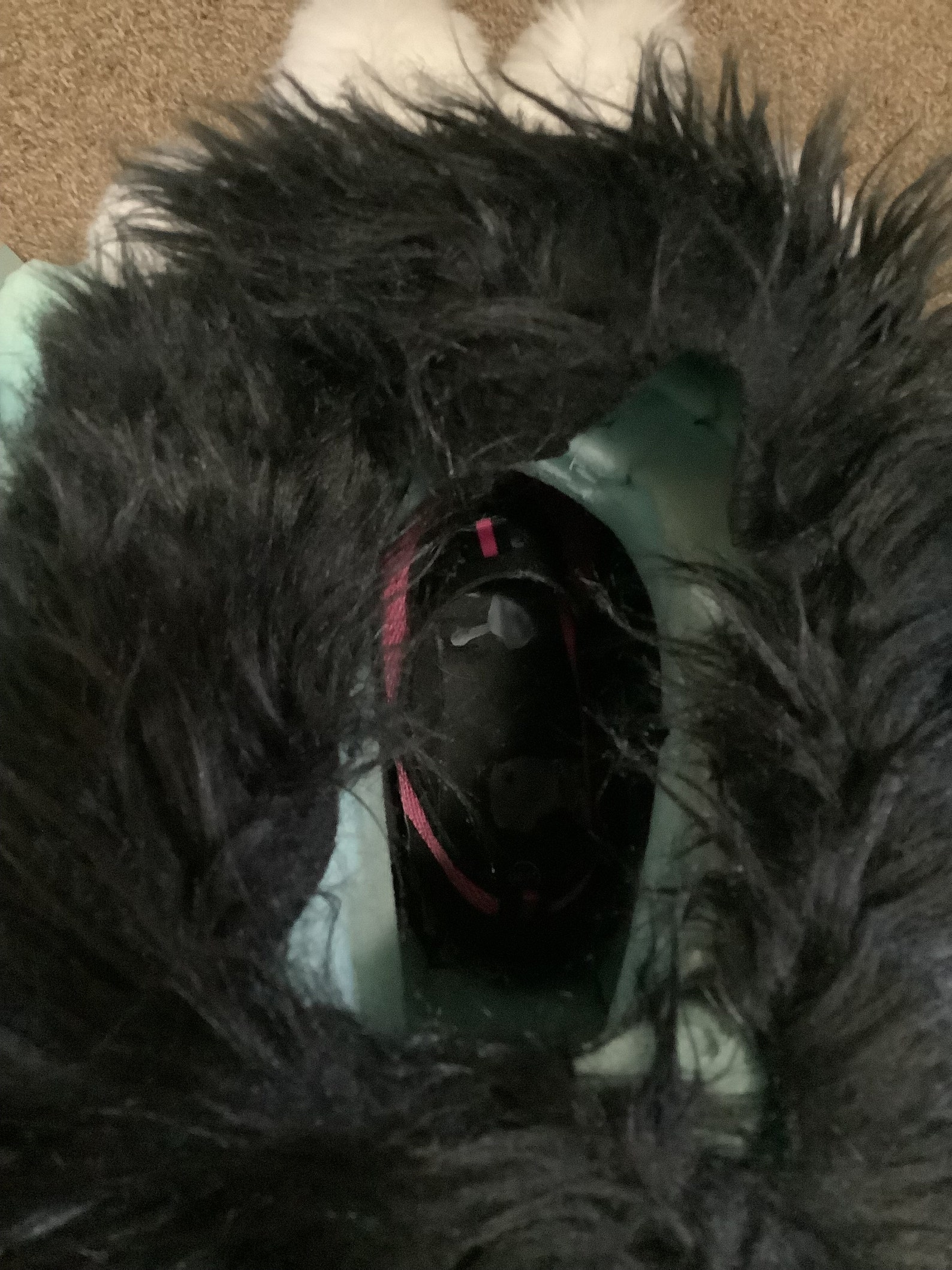 Fursuit Stompy Feet Paws, Unfinished Foam Base - Etsy