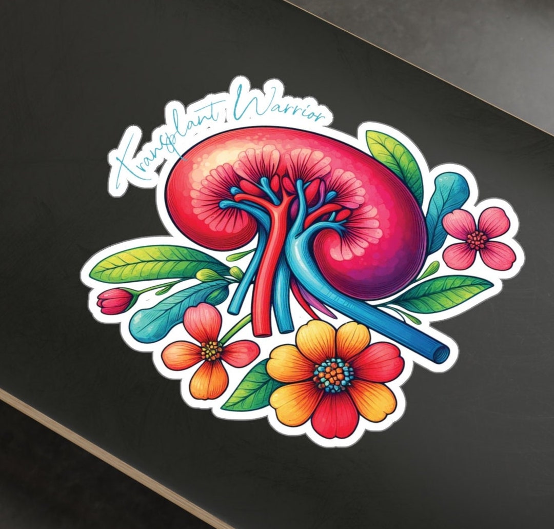 Kidney Transplant Waterproof Vinyl Sticker, Kidney Cancer, Kidney ...