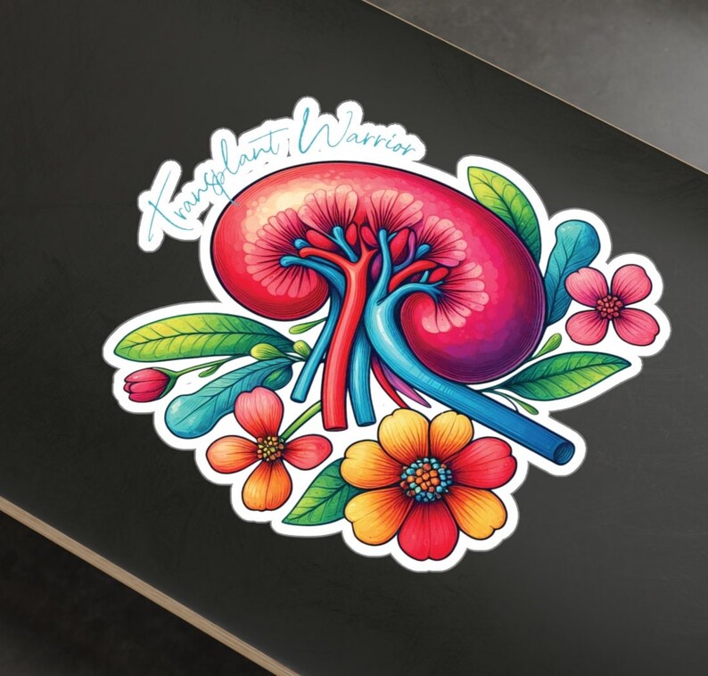 Kidney Transplant Waterproof Vinyl Sticker, Kidney Cancer, Kidney ...