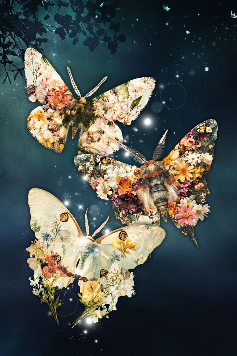 Floral Moth Clipart Bundle: Whimsical Cottagecore Pngs (digital ...