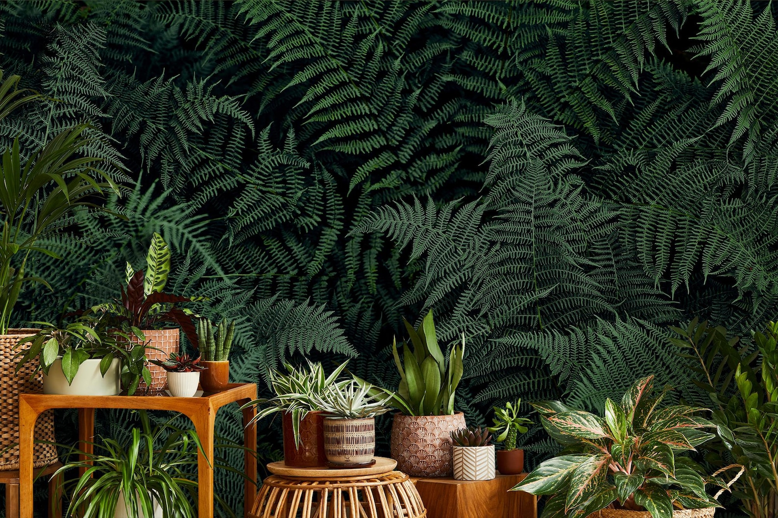 Fern Leaves Wallpaper, Dark Green Forest Wall Mural | Home Renovation ...