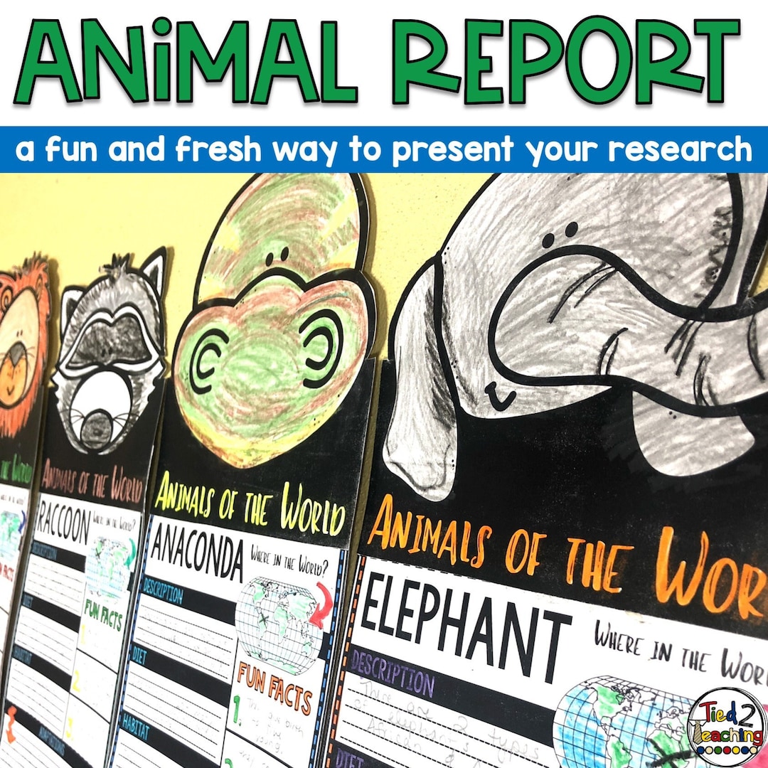 Animal Report Research Project Worksheet, Homeschool Animal Science ...