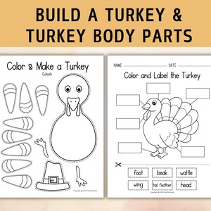 Build a Turkey; Parts of a Turkey Labeling; Cut and Glue a Turkey; Cut ...